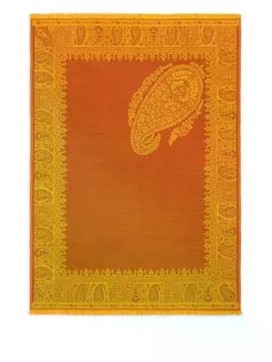 Etro Floral-inspired Maxi Paisley Blanket - Orange