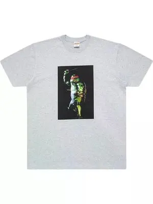 Supreme Raphael Graphic-print T-shirt - Grey