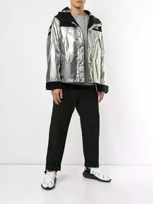 Supreme X The North Face Metallic Mountain Parka