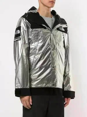 Supreme X The North Face Metallic Mountain Parka