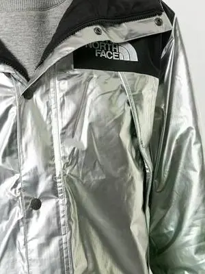 Supreme X The North Face Metallic Mountain Parka