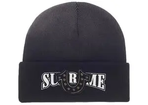 Supreme True Religion Beanie Fw25 - Black
