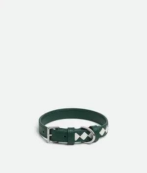 BOTTEGA  VENETA Small Intrecciato Dog Collar - Emerald/white