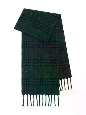 Burberry Check-pattern Fringed Scarf - Green