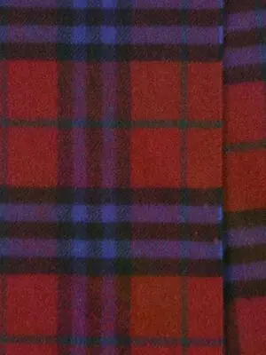 Burberry Checked Fringed Scarf