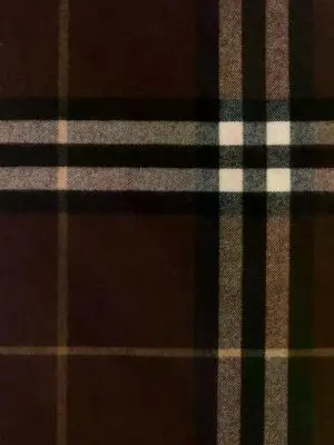 Burberry Checked-pattern Fringed-hem Scarf