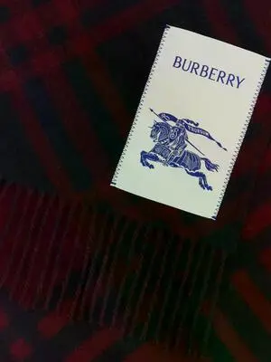 Burberry Checked Cashmere Scarf