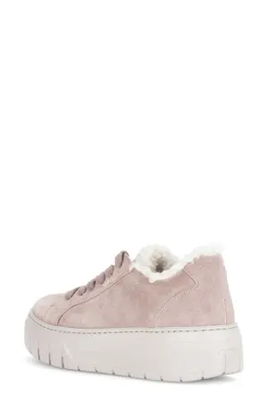 Gabor 73.221 Faux Fur Lined Platform Sneaker - Rosewood