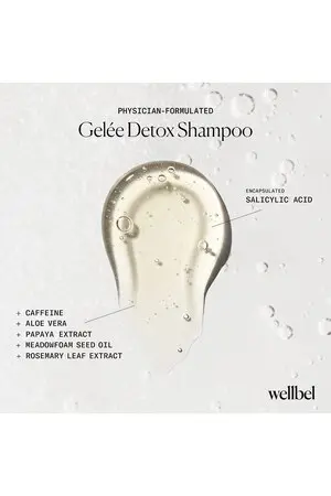 WELLBEL Gelee Detox Shampoo