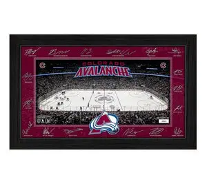 HIGHLAND MINT Nhl 2025 Signature Rink - One-color