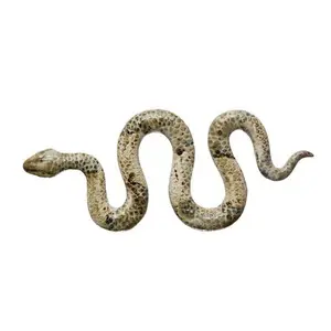 STORIED HOME Decorative Debossed Stoneware Snake - Tan