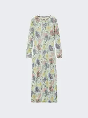 Loewe Printed Dresses