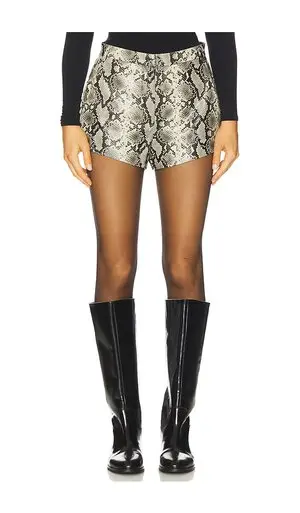 Line & Dot Python Print Short