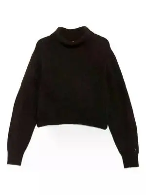 Maje Roll-neck Sweater