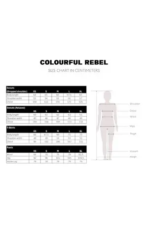 COLOURFUL REBEL Varsity Logo Relaxed Zip Sweat - Navy