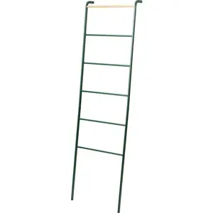 YAMAZAKI Leaning Storage Ladder - Forest Green
