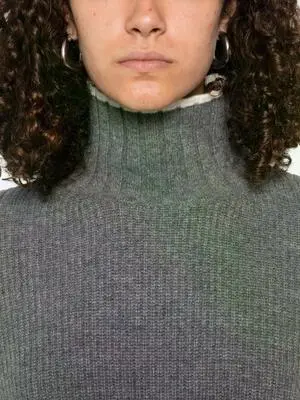 Sandro Ribbed Knit Turtleneck Sweater