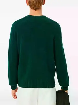 Lacoste Crew-neck Sweater
