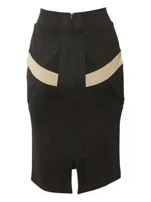 Roberto Cavalli Panelled Pencil Skirt