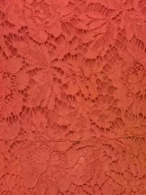 Valentino Garavani Corded Lace Midi Dress