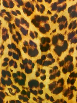 Sandro Leopard-print Dress