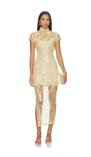 Sau Lee Lace Dresses