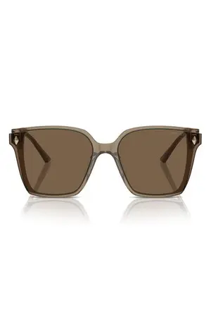 JIMMY CHOO 61mm Oversize Square Sunglasses - Transparent Brown/dark Brown