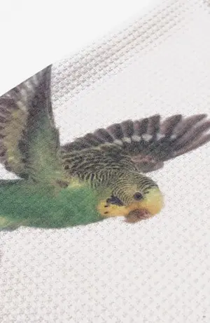 STUDENTS Tremonton Layered Look Graphic T-shirt