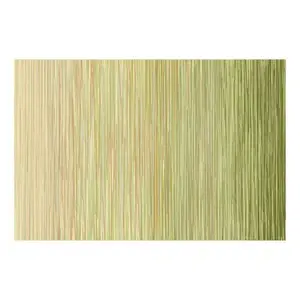 KAPLAN EARLY LEARNING COMPANY Sense Of Place Nature's Stripes Green Carpet6' X 9 - Green Stripe