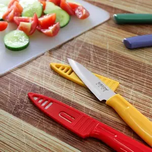 GIBSON EVERYDAY Colorsplash 4 Piece Paring Knife Set