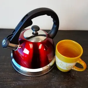 MR COFFEE Claale 2.2 Quart Stainless Steel Whistling Tea Kettle With Nylon Handle