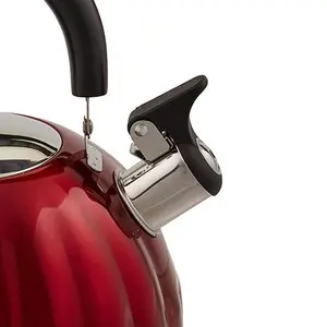 MR COFFEE Twining 2.1 Quart Pumpkin Tea Kettle