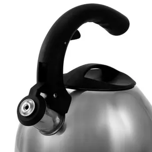 MR COFFEE Steamline 2 Quart Tea Kettle