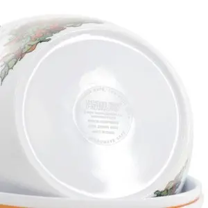 PEANUTS Happy Fall 4 Piece 5.8 Inch Round Melamine Cereal Bowl Set