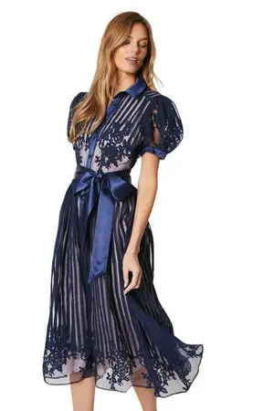 Coast Stripe Organza Puff Sleeve Shirt Dress
