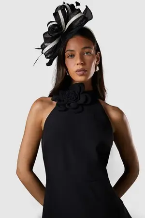 Coast High Neck Corsage Detail Midi Dress