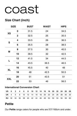 Coast Volume Frill Maxi Dress