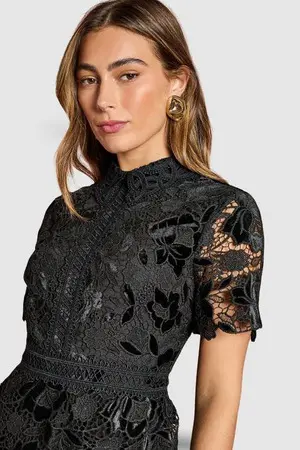 Coast Velvet Lace Collared Midi Dress