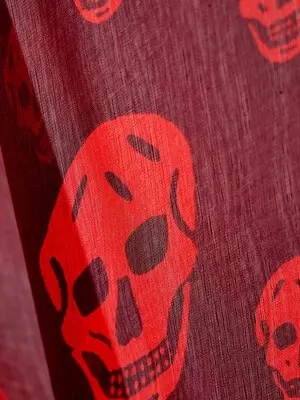 Alexander McQueen Printed Silk-chiffon Scarf - Red