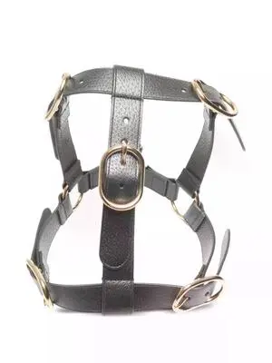Gucci 2015-2020s Leather Dog Harness - Black