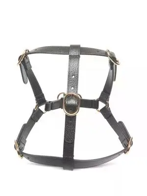 Gucci 2015-2020s Leather Dog Harness - Black