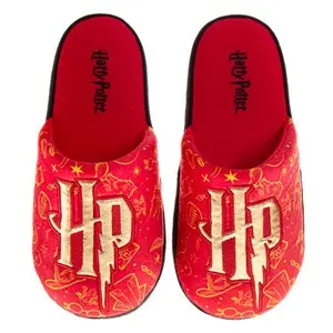 HARRY POTTER Magical Slippers