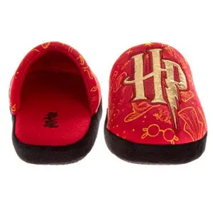 HARRY POTTER Magical Slippers