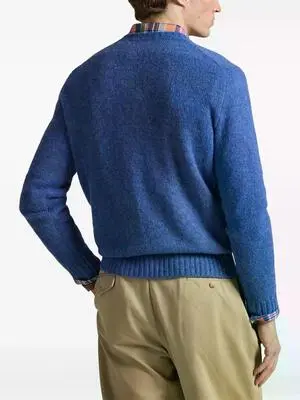 Polo Ralph Lauren Long-sleeved Pullover