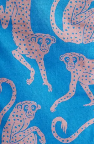 Desmond & Dempsey Long Sleeve Cotton Pajamas - Blue/pink