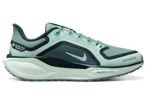 Nike Pegasus 41 Gore-tex