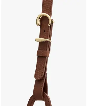 Cuyana Mini Paloma Bag - Dark Chestnut