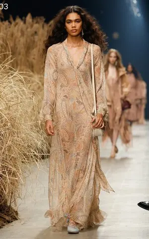 Etro Printed Silk-blend Maxi Dress