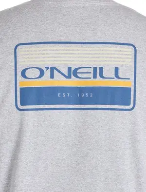 O'Neill Big & Tall Banner Graphic Tee
