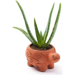MATR BOOMIE Rakshana Plant Pot - Turtle